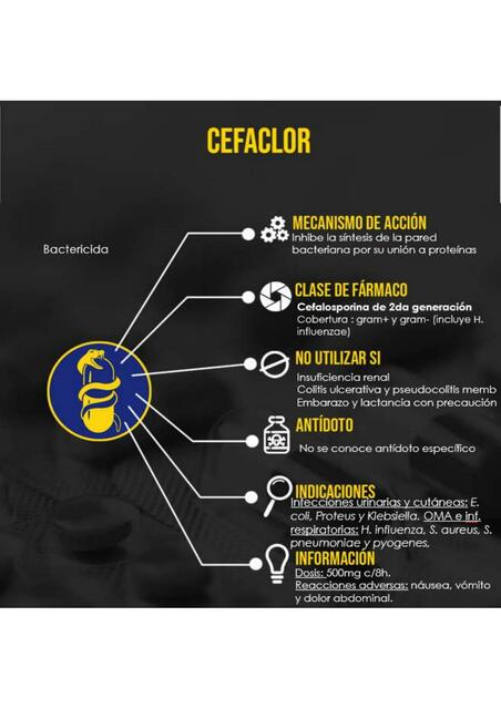 CEFACLOR | Full ciencia | uDocz