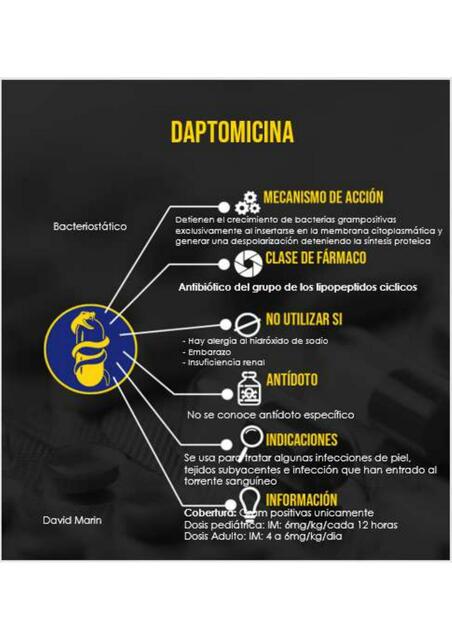 Daptomicina | Full ciencia | uDocz
