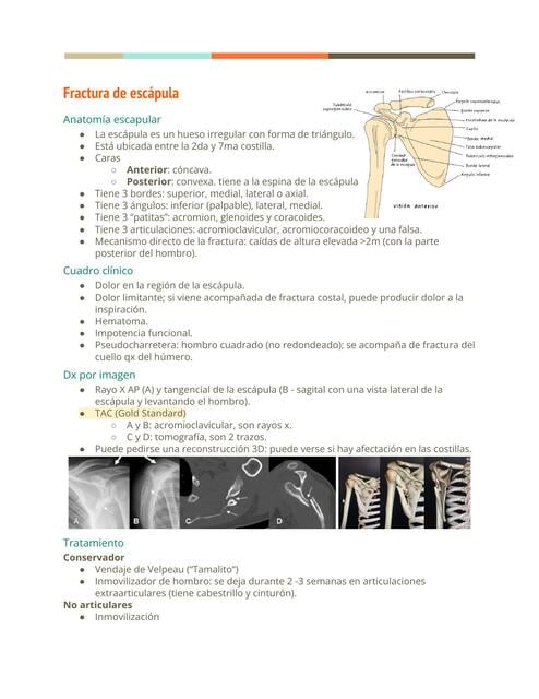 Fractura de escápula | Viviendo la medicina | uDocz