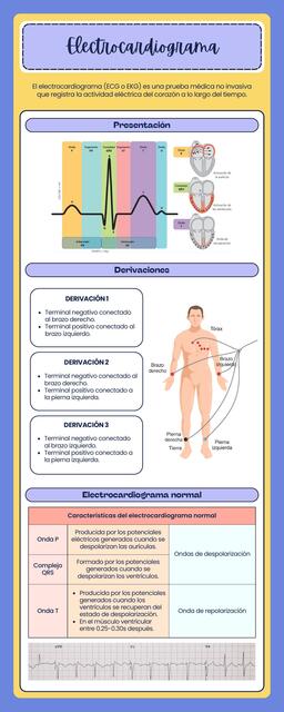 Infografía Electrocardiograma | AG | uDocz