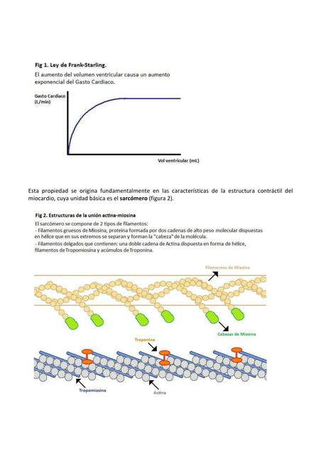 Ley de Frank Starling | bioanatomia | uDocz