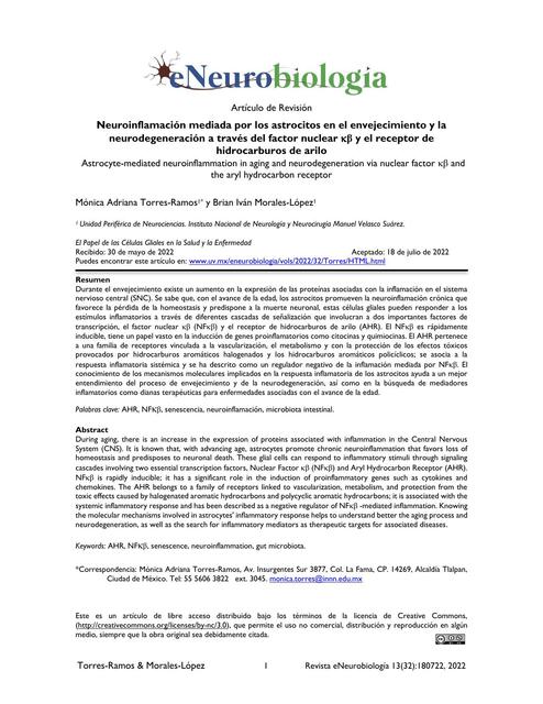 Neurobiología | Angelica | uDocz