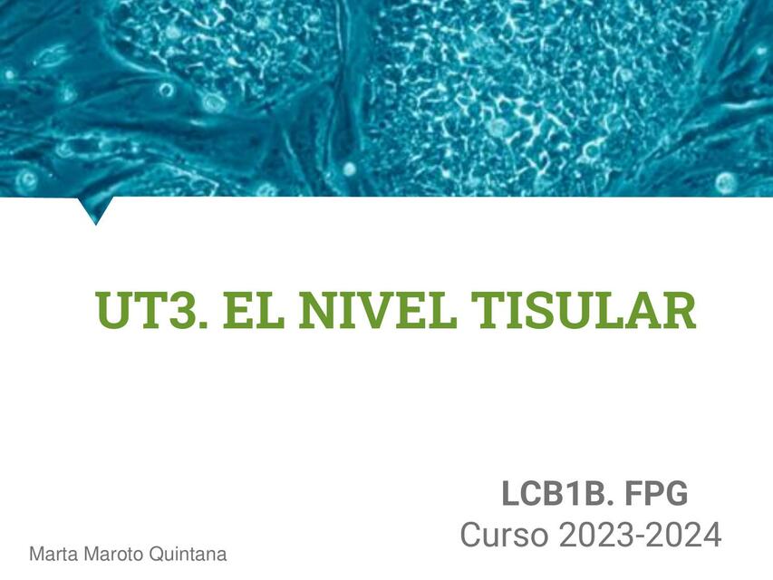 El nivel tisular | Mar M. | uDocz