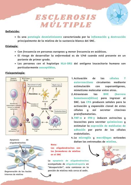 Esclerosis múltiple | Eduardo Rivero | uDocz