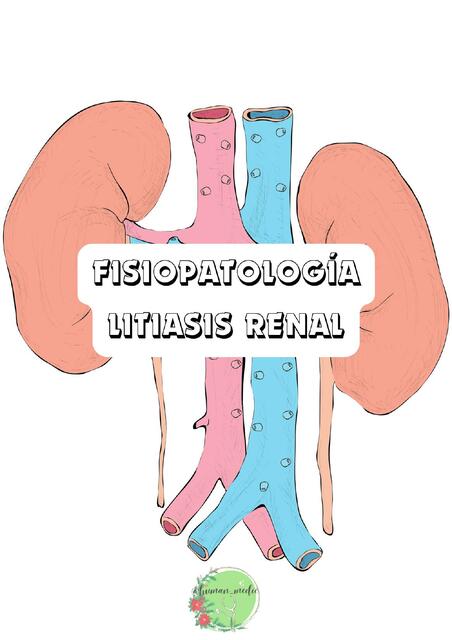 Fisiopatología litiasis renal | Human Medic | uDocz