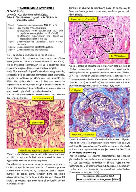 Trastorno de la inmunidad II | medicinestudent_notes (Aldair) | uDocz