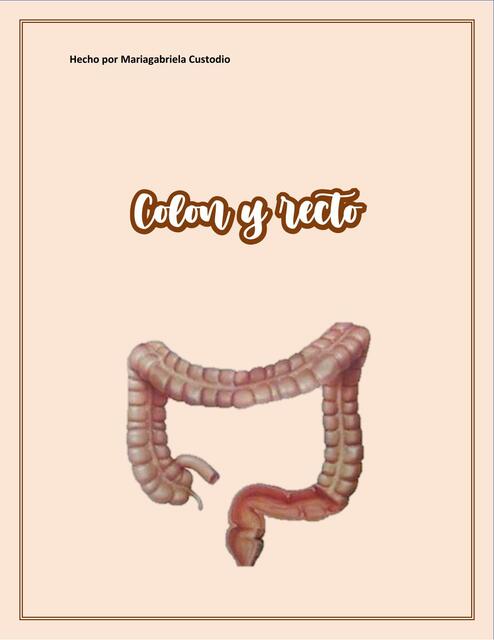 Resumen - Anatomía del colon y el recto | Mariagabriela Custodio | uDocz