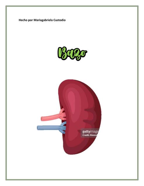 Resumen - Anatomía del Bazo | Mariagabriela Custodio | uDocz