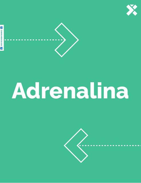 Adrenalina | Anatomía y Biología Pre UNPRG | uDocz