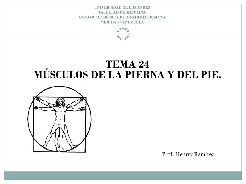 Músculos de la pierna y del pie | Carlos Daniel Cárdenas Santos | uDocz