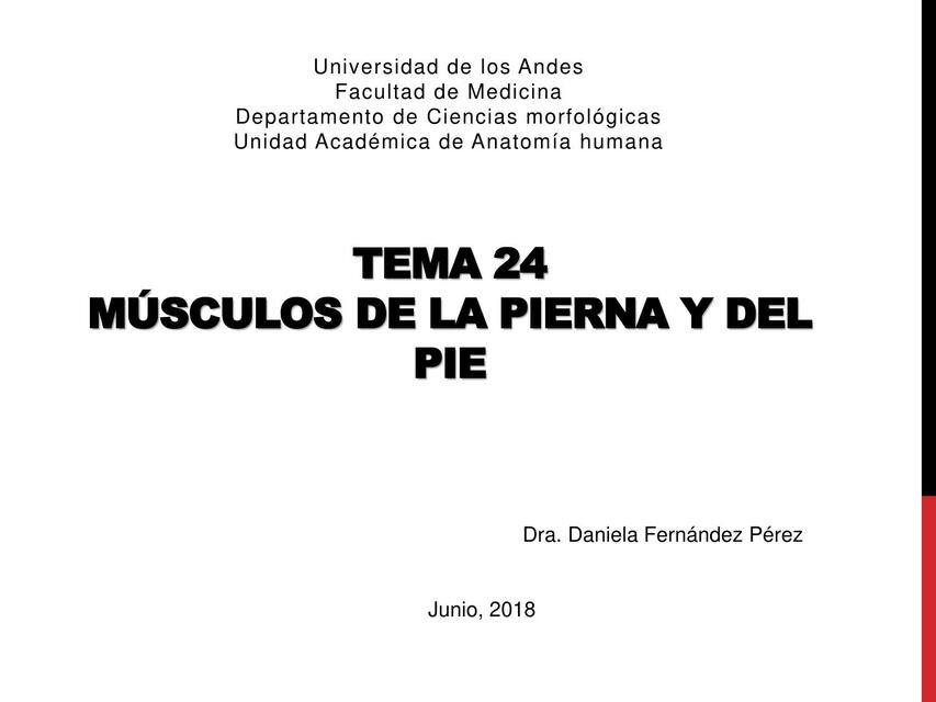 Musculos de la pierna y el pie | Carlos Daniel Cárdenas Santos | uDocz