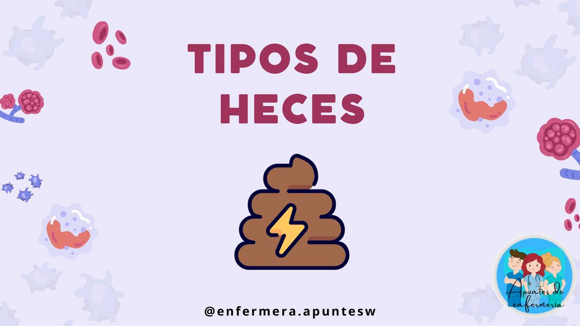 Caracteristicas De Las Heces