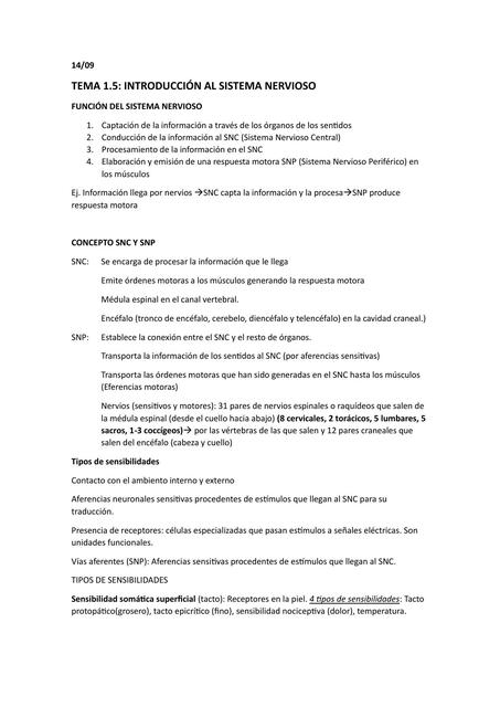 Introducción al Sistema Nervioso | María Liang Lermos Conde | uDocz