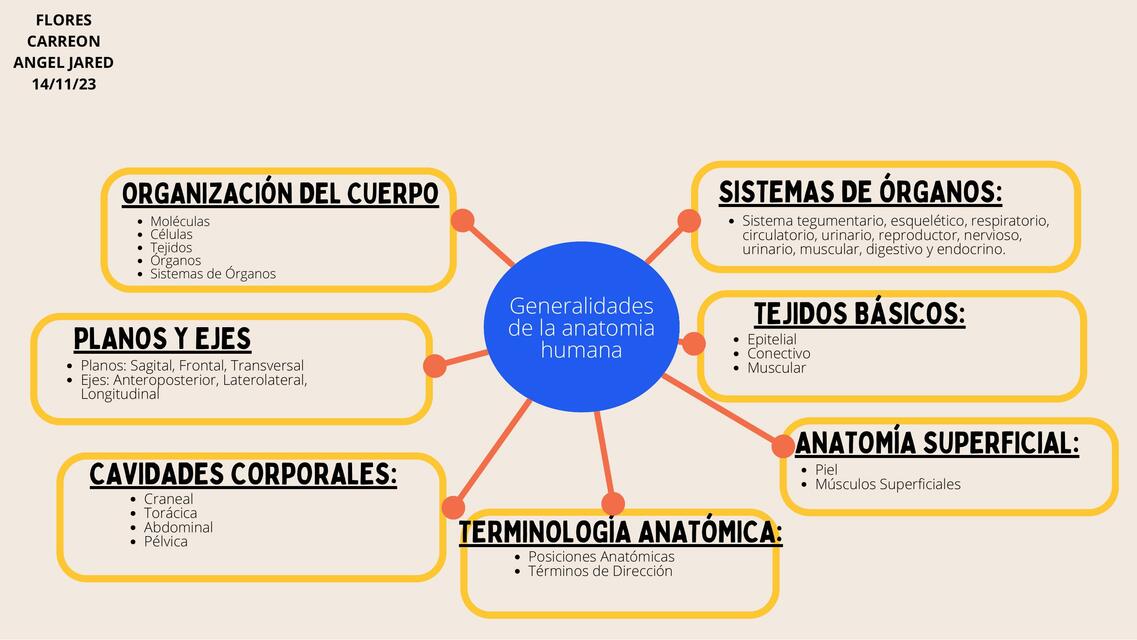 Generalidades de la anatomía humana | Nicole Avalos | uDocz