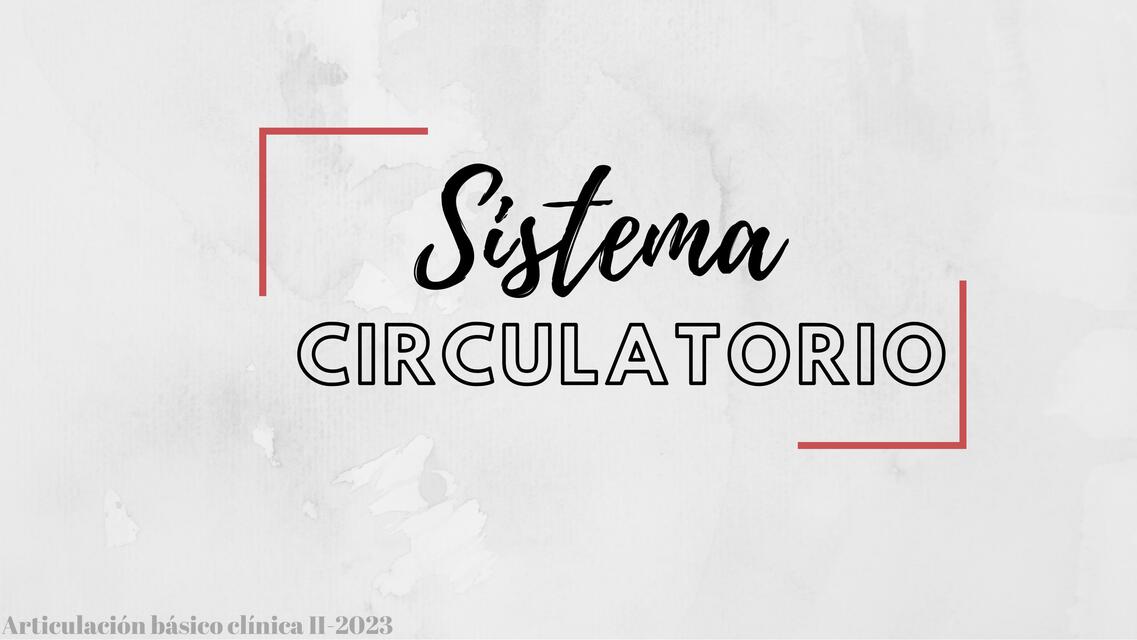 Sistema circulatorio | 11111 | uDocz
