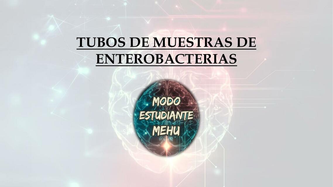Tubos de muestras de enterobacterias | Modo Estudiante MEHU | uDocz