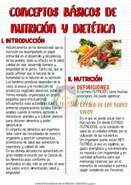 Conceptos Básicos de Nutrición y Dietética | Antonella Rivadeneyra Ramirez | uDocz