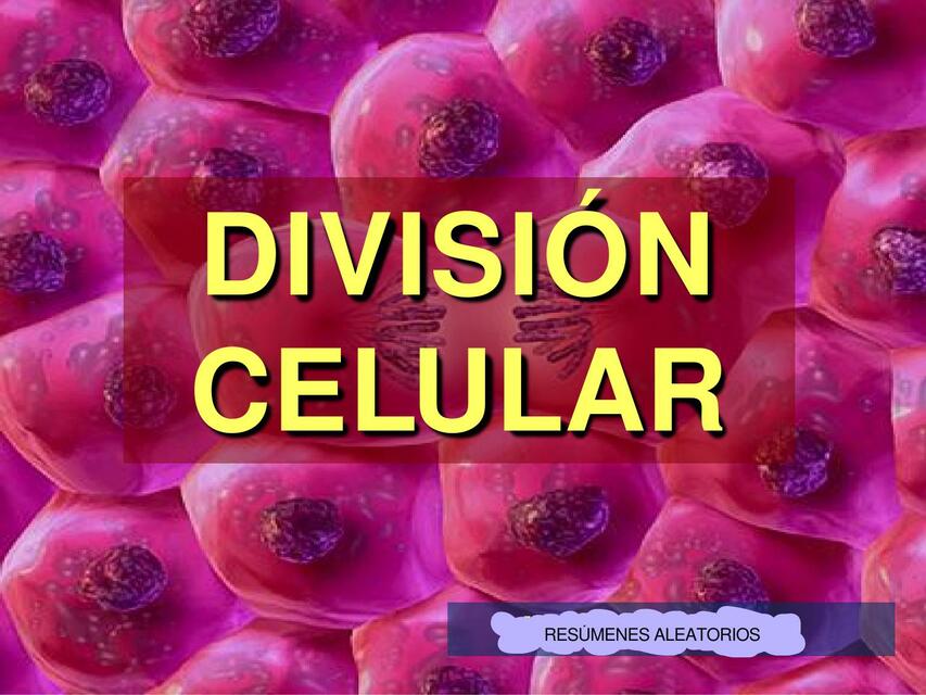 División celular | Camila | uDocz