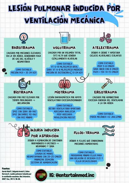 Lesión Pulmonar Inducida por Ventilación Mecánica | EntertainMed.Inc ...