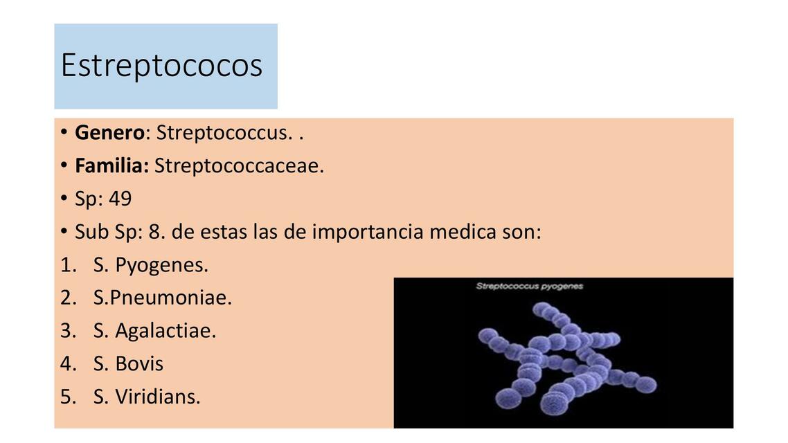 Estreptococos | Janelis Reyes | uDocz