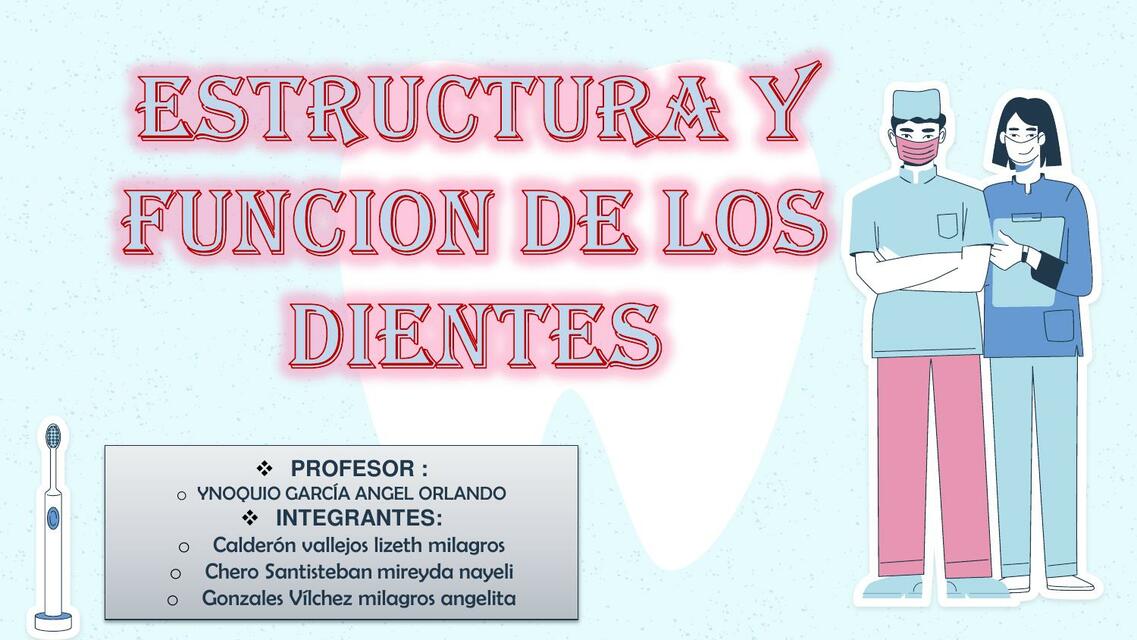 Estructura y funciones de los dientes | Lizeth Calderón vallejos | uDocz
