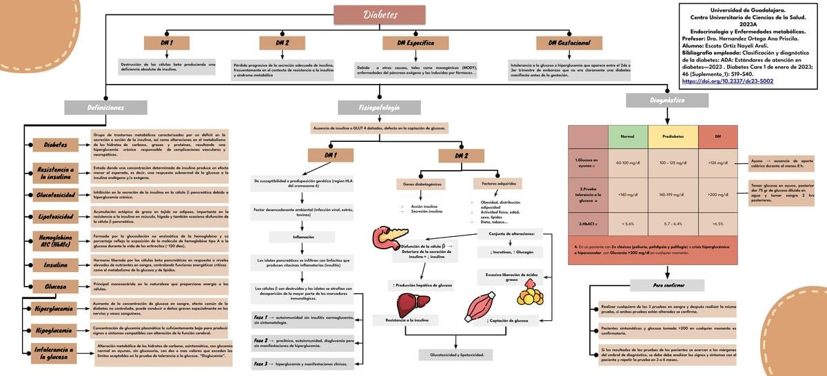 Diabetes Mapa conceptual | Nelly_notes.med | uDocz