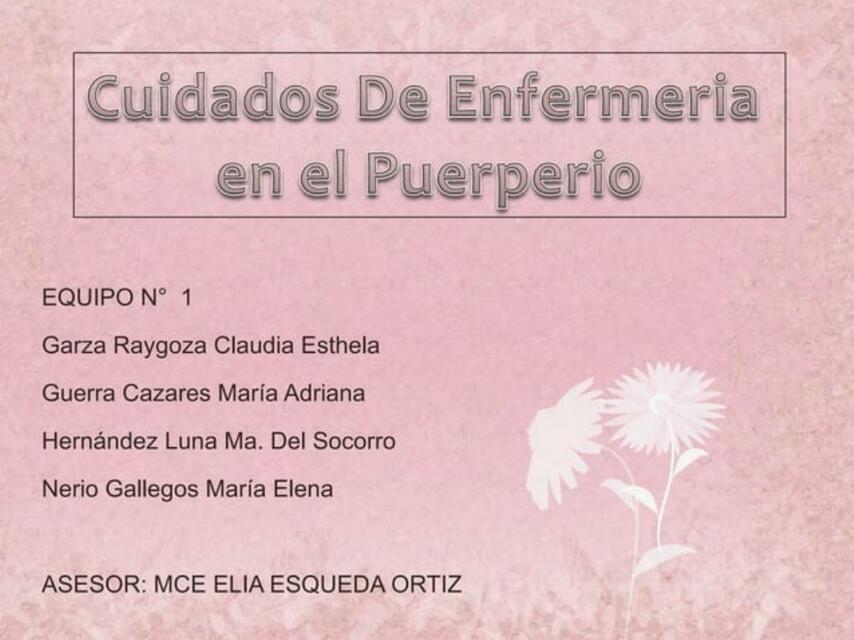 Cuidado De Enfermeria En El Puerperio Henry Maldonado Gutiérrez Udocz