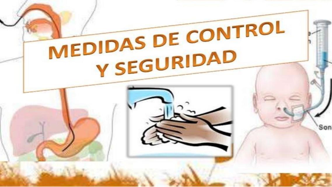 Medidas de seguridad y control | Aura Ester Peréz Rada | uDocz