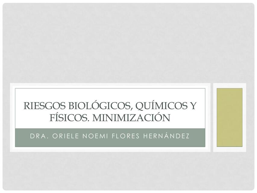 Riesgos biológicos, químicos y físicos. Minimización | TAIRA ISABEL ...