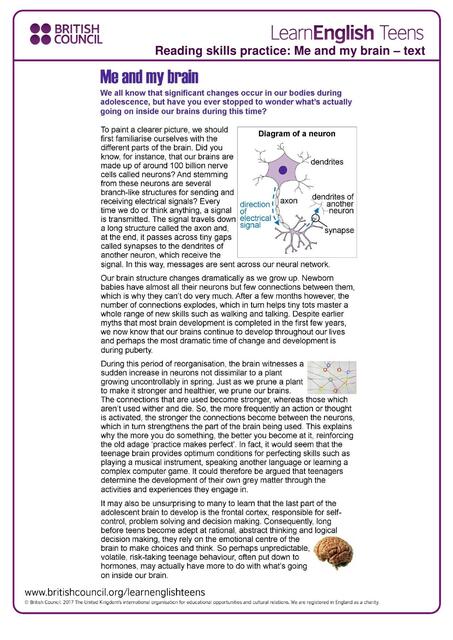 Me and my brain | B.M | uDocz