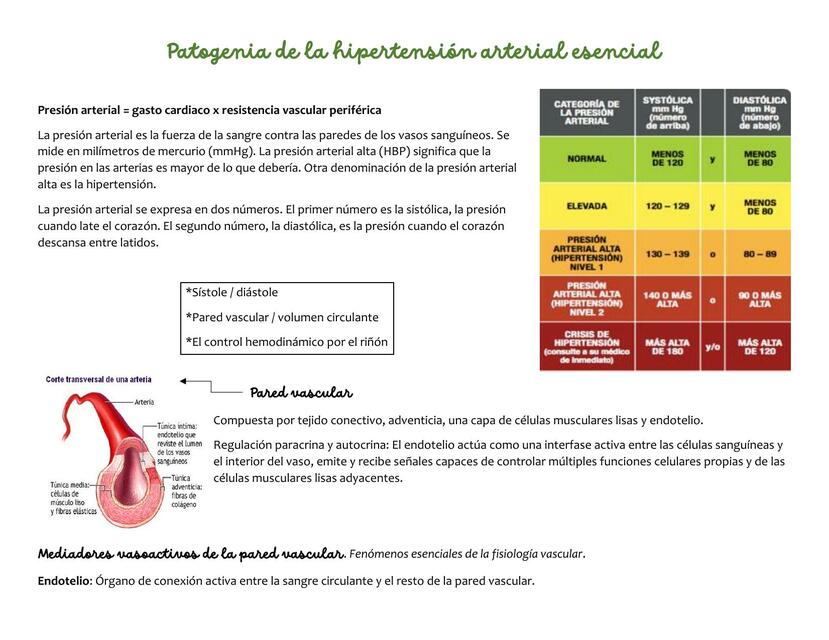 Flashcards de Hipertensión arterial primaria y secundaria en el adulto ...