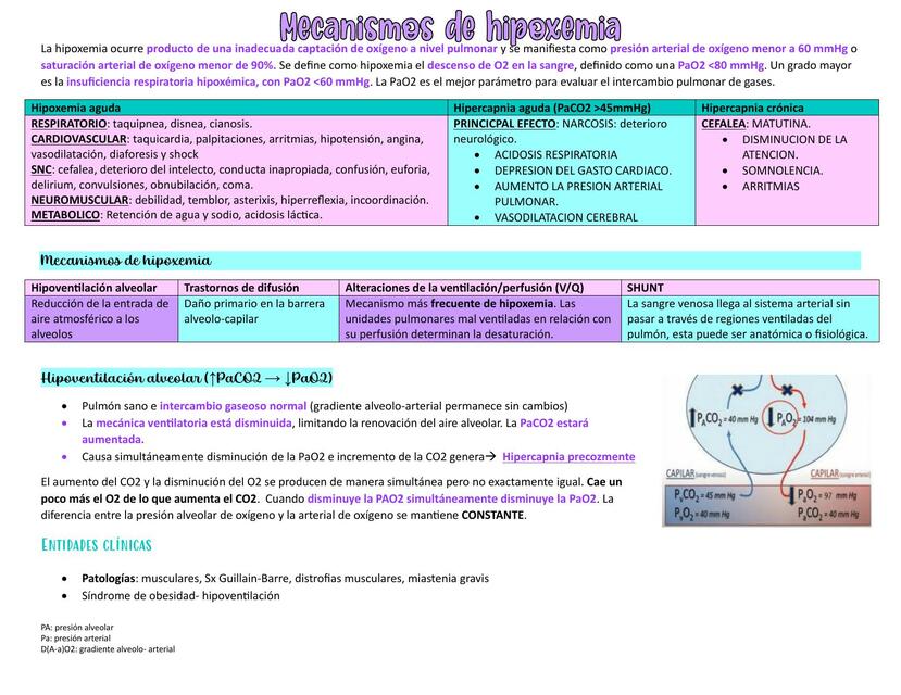 Mecanismos de hipoxemia | Medi_Hami | uDocz