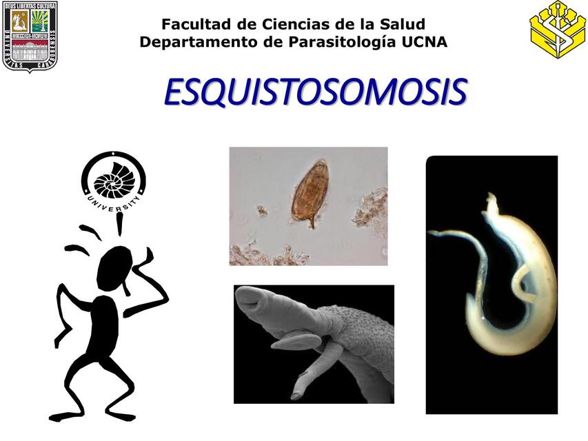 Esquistomosis David A UDocz