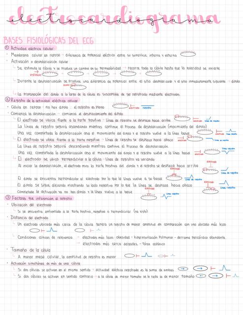 Electrocardiograma: bases fisiológicas, ECG normal, informe de un ECG