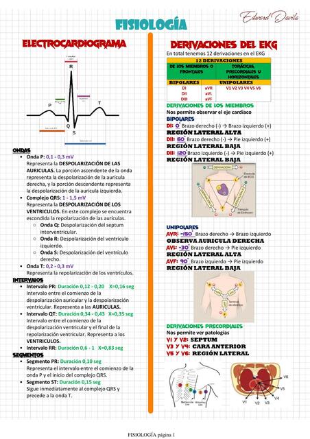 Fisiología Electrocardiograma | Edward | uDocz