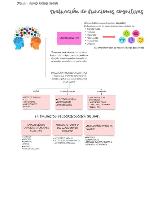 Cognitivo Catedra Ii Prigosi Udocz