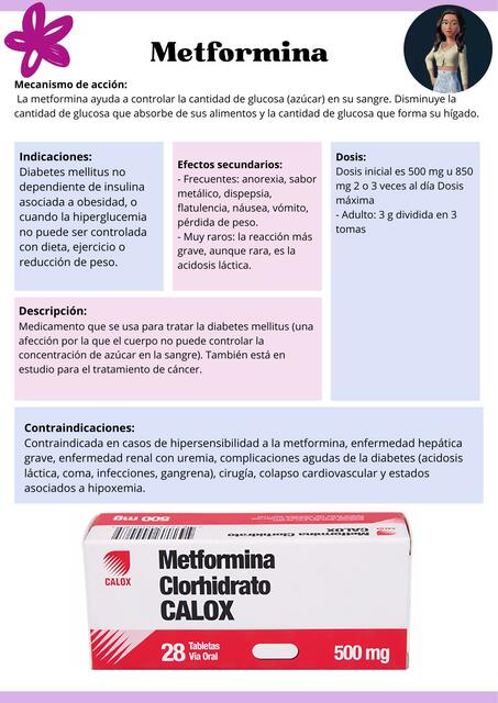 Metformina | Liza Stuudio | uDocz