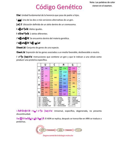 Flashcards de Códigos genéticos | Por Alondra Paola Cruz Perez | uDocz
