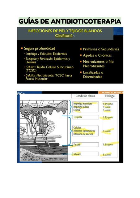 Guías de antibioticoterapia | Julissa Guevara Ortiz | uDocz