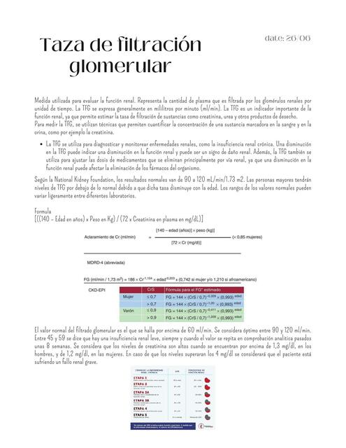Taza de Filtración Glomerular | Frida Trejo | uDocz