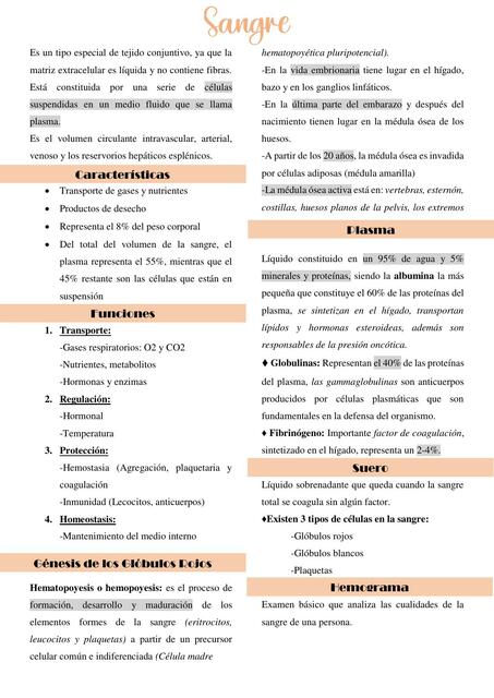 Sangre | Mónica | uDocz