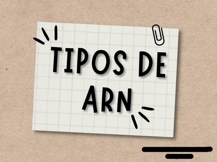Tipos de ARN | JAZMIN ITZEL BENAVIDEZ GUTIERREZ | uDocz