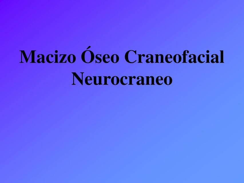 Macizo Ósea Craneofacial Neurocráneo | MiniEnfermera | uDocz