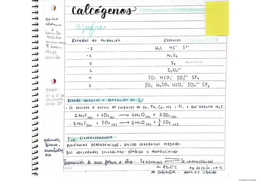 Resúmenes de Calcógenos | Descarga apuntes de Calcógenos