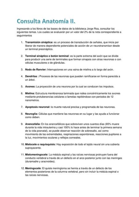 Consulta Anatomía II | Victoria D | uDocz