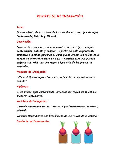 Reporte de mi indagación | Christopher Roberth Hoyos Abanto | uDocz