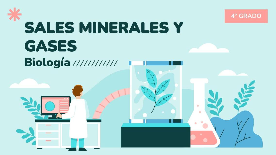 Sales minerales y gases | Christopher Roberth Hoyos Abanto | uDocz