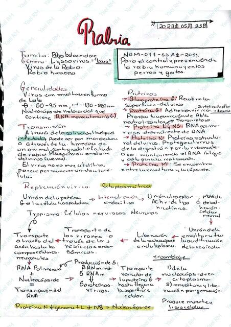 Generalidades de la Rabia | Yael RM | uDocz