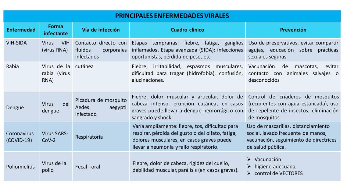 PRINCIPALES ENFERMEDADES VIRALES | Full ciencia | uDocz