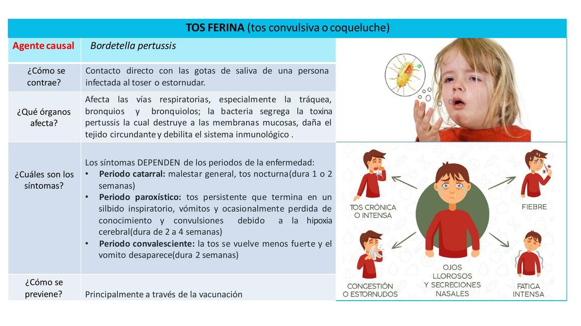 TOS FERINA | Full ciencia | uDocz
